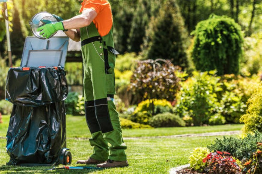 What to Include in Your Spring Yard Clean-Up Checklist for Maximum ...